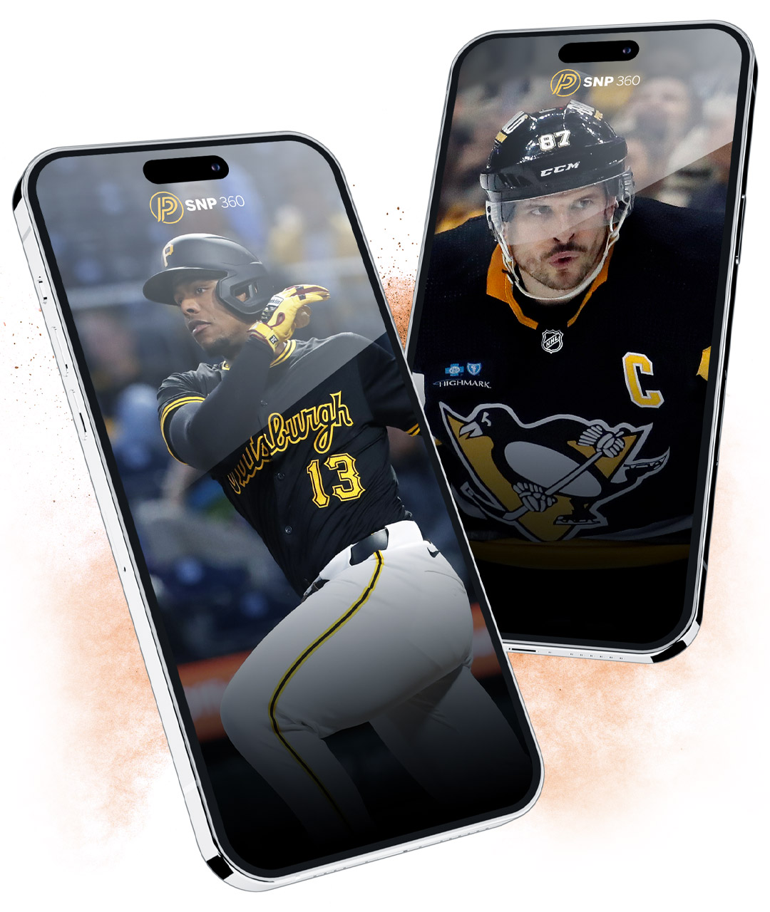 Get SNP 360 - Get SNP360